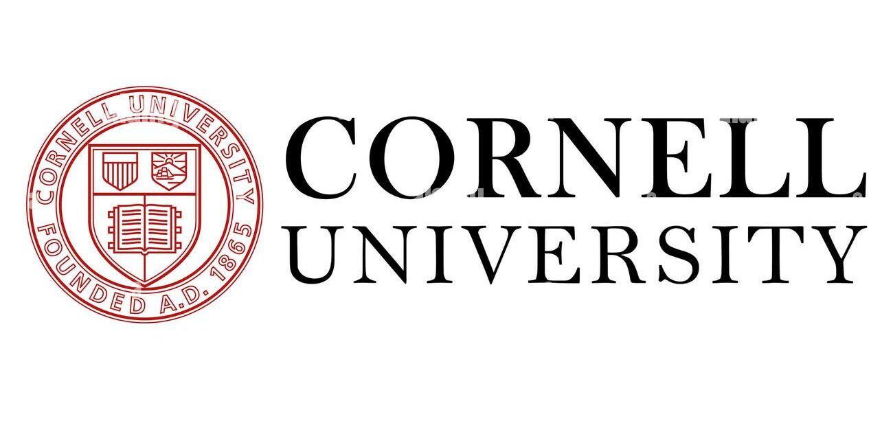 Simulate 365 - Simulation Framework for the Process Industry